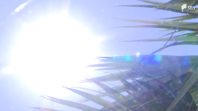 熱海市網代で26.1℃ 3月の観測史上最高を記録 静岡県内で2025年シーズン初めて25℃超「夏日」に = 地域 - 写真 - goo ニュース